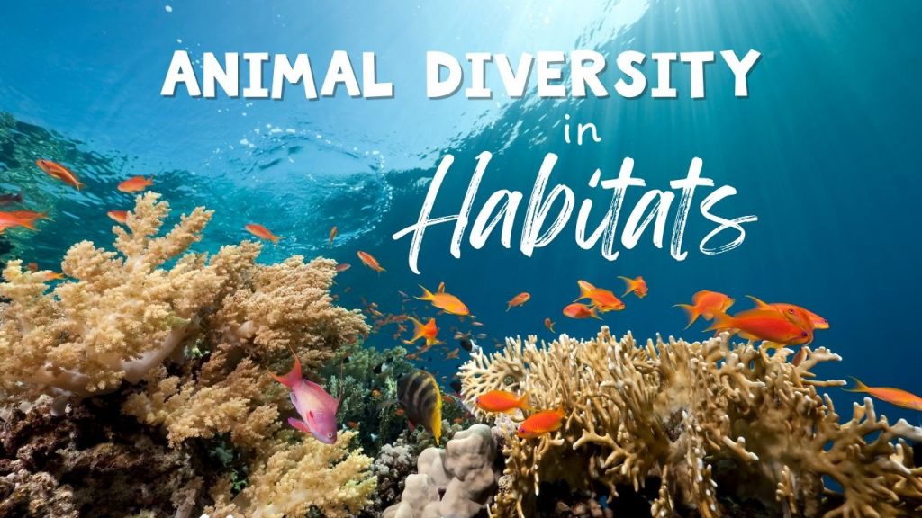 Teaching Diversity in Habitats - Wendy Wished Blog
