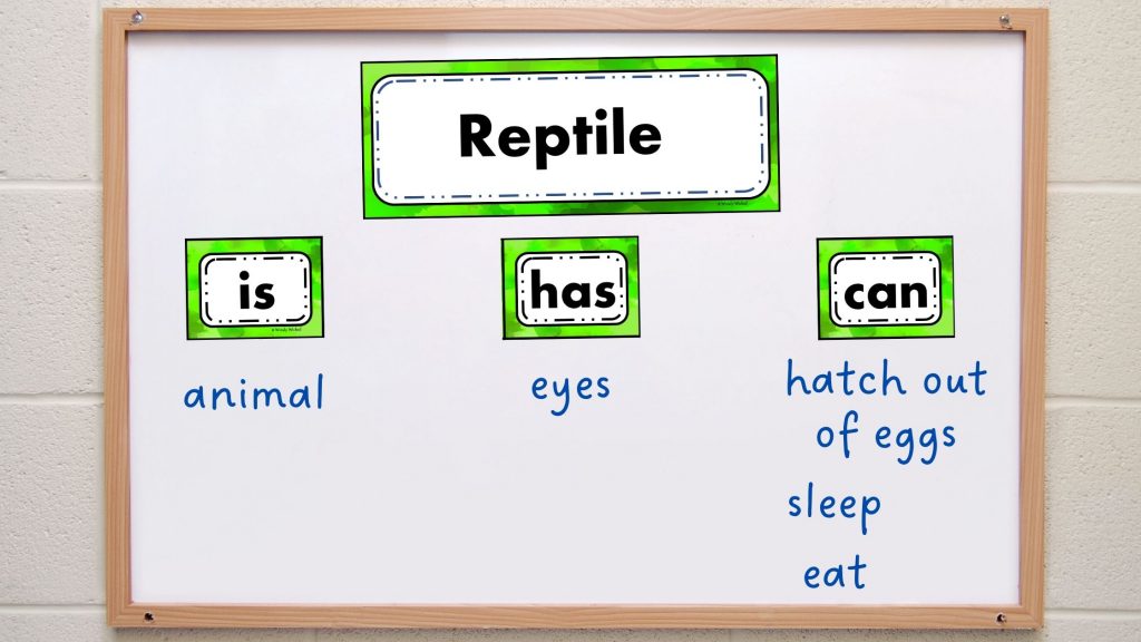 Animal Kingdom Groups and Classification: Free Reptile Lesson - Wendy ...