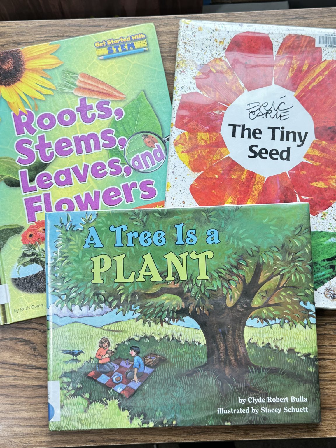 All About Plants: Watch Your Kids' Knowledge Bloom - Wendy Wished Blog