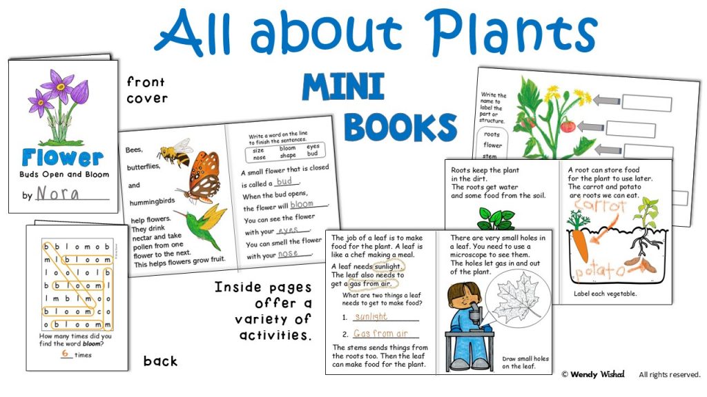 All About Plants: Watch Your Kids' Knowledge Bloom - Wendy Wished Blog