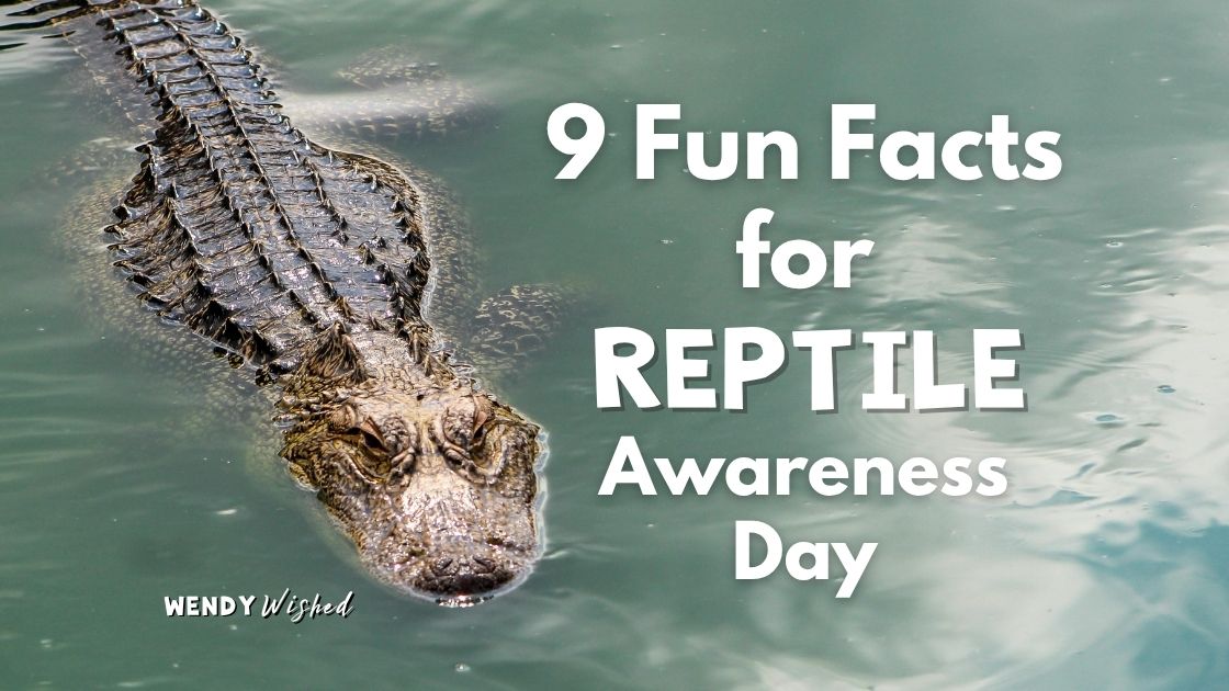 Celebrate Reptile Awareness Day with 9 Fun Facts (Free File) - Wendy ...